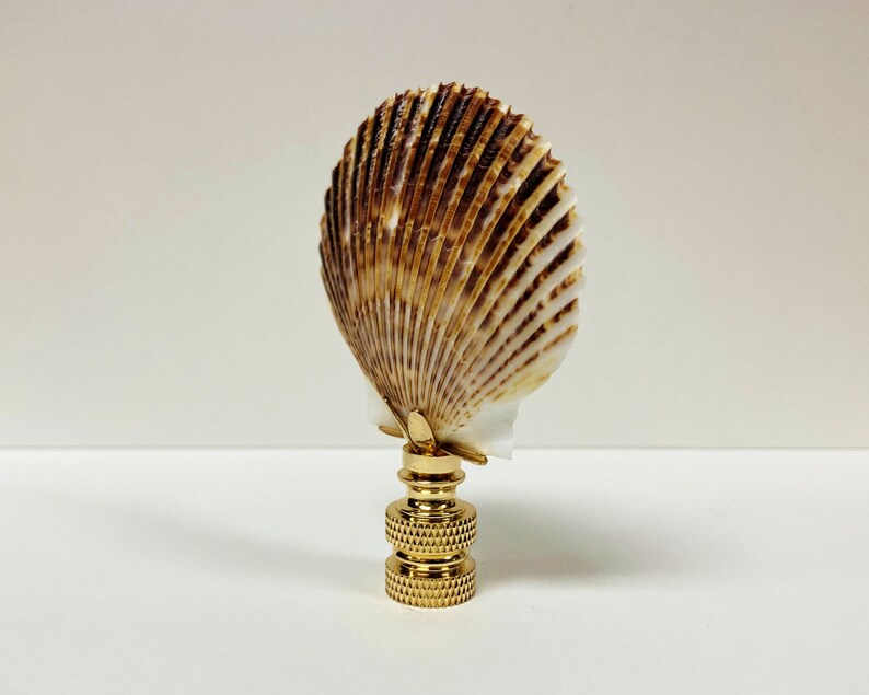 Lamp Finial-sea SCALLOP SHELL W/polished or Antique Brass Finish Base ...