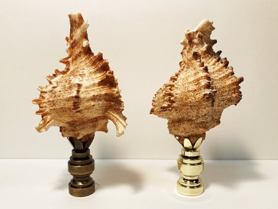 Lamp Finial-sea SNAIL SHELL W/polished or Antique Brass Finish - Etsy
