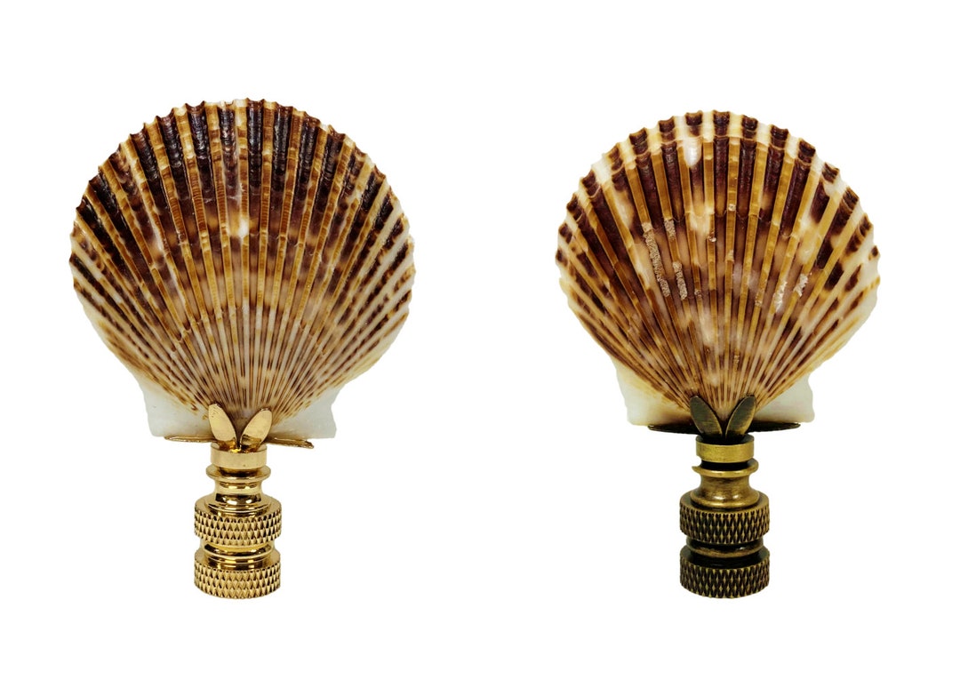 Lamp Finial-sea SCALLOP SHELL W/polished or Antique Brass Finish Base ...