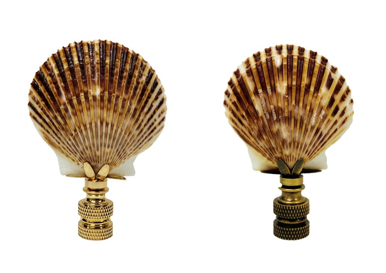 Lamp Finial-sea SCALLOP SHELL W/polished or Antique Brass Finish Base ...