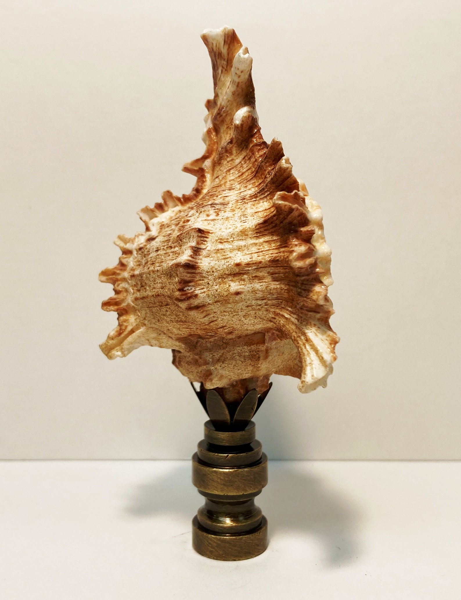 Lamp Finial-sea SNAIL SHELL W/polished or Antique Brass Finish - Etsy