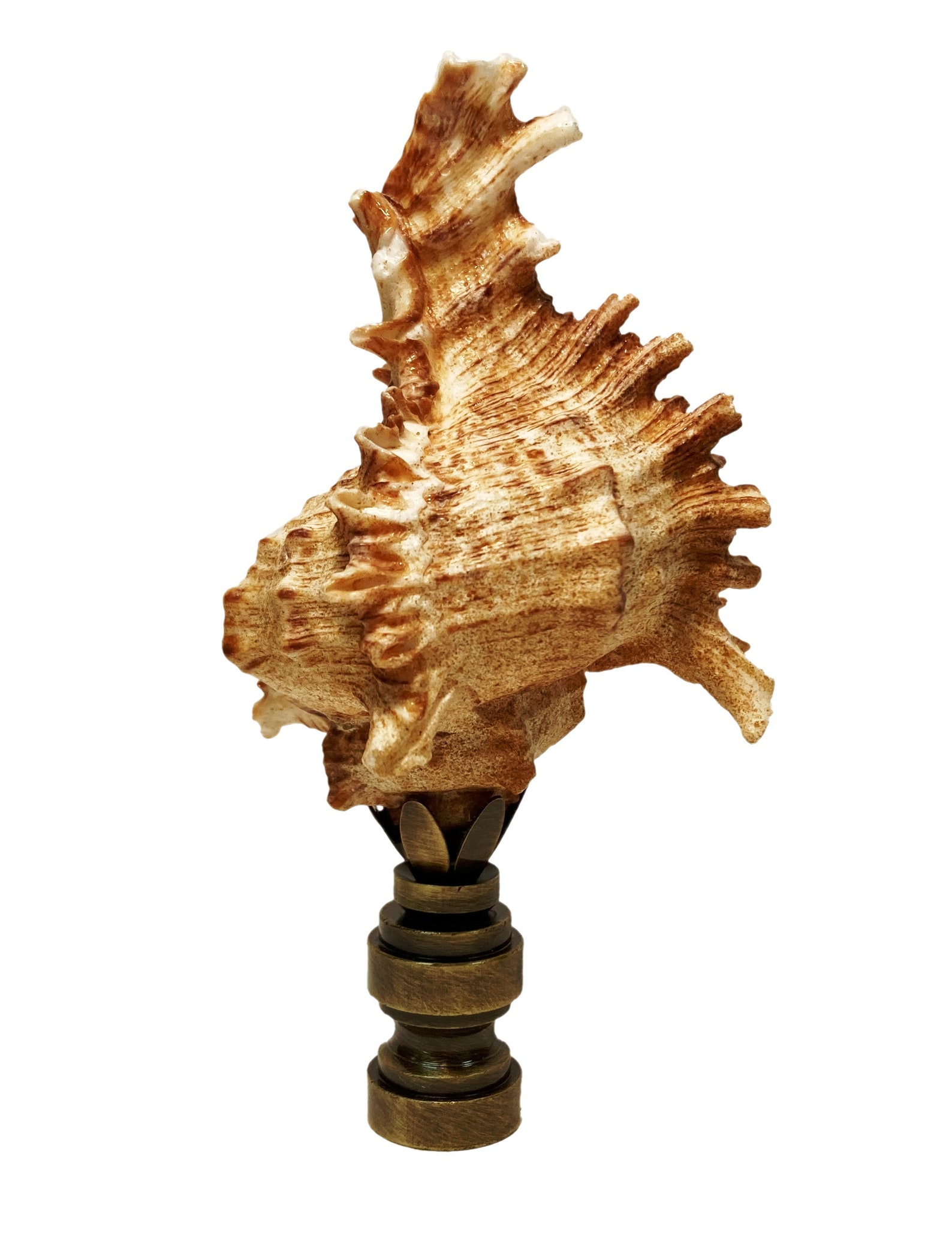 Lamp Finial-sea SNAIL SHELL W/polished or Antique Brass Finish - Etsy