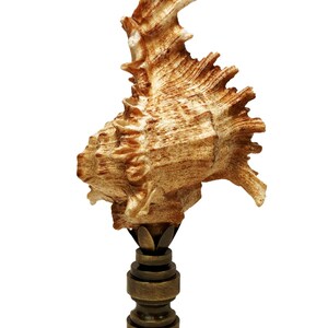 Lamp Finial-sea SNAIL SHELL W/polished or Antique Brass Finish Base (1 ...