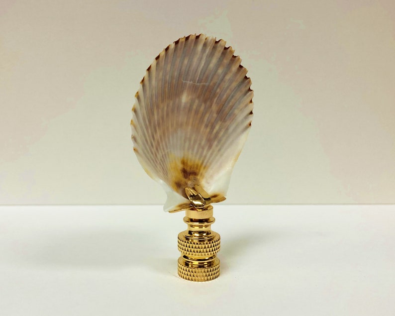 Lamp Finial-sea SCALLOP SHELL W/polished or Antique Brass Finish Base ...