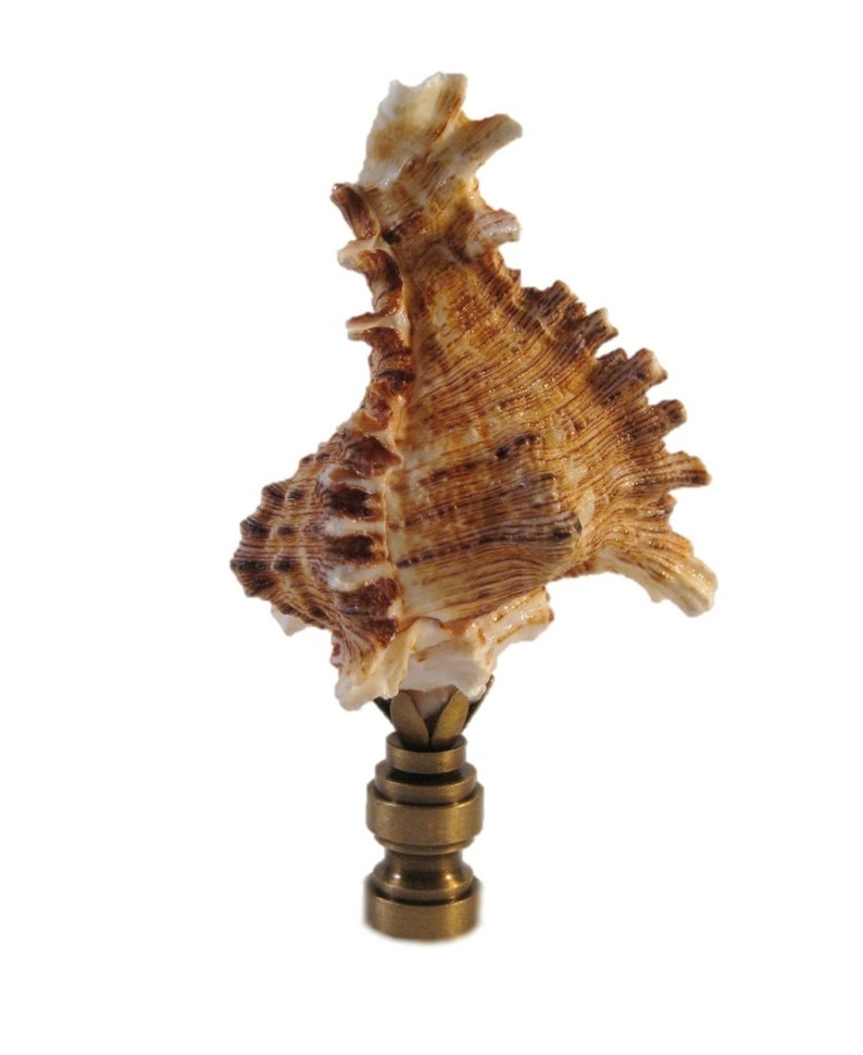 Lamp Finial-SEA SNAIL SHELL W/Polished or Antique Brass Base | Etsy