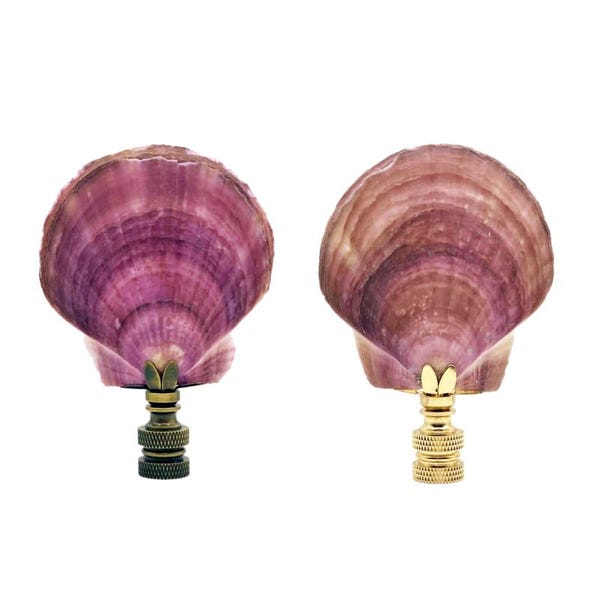 Brass Scallop Shell Lamp - Etsy