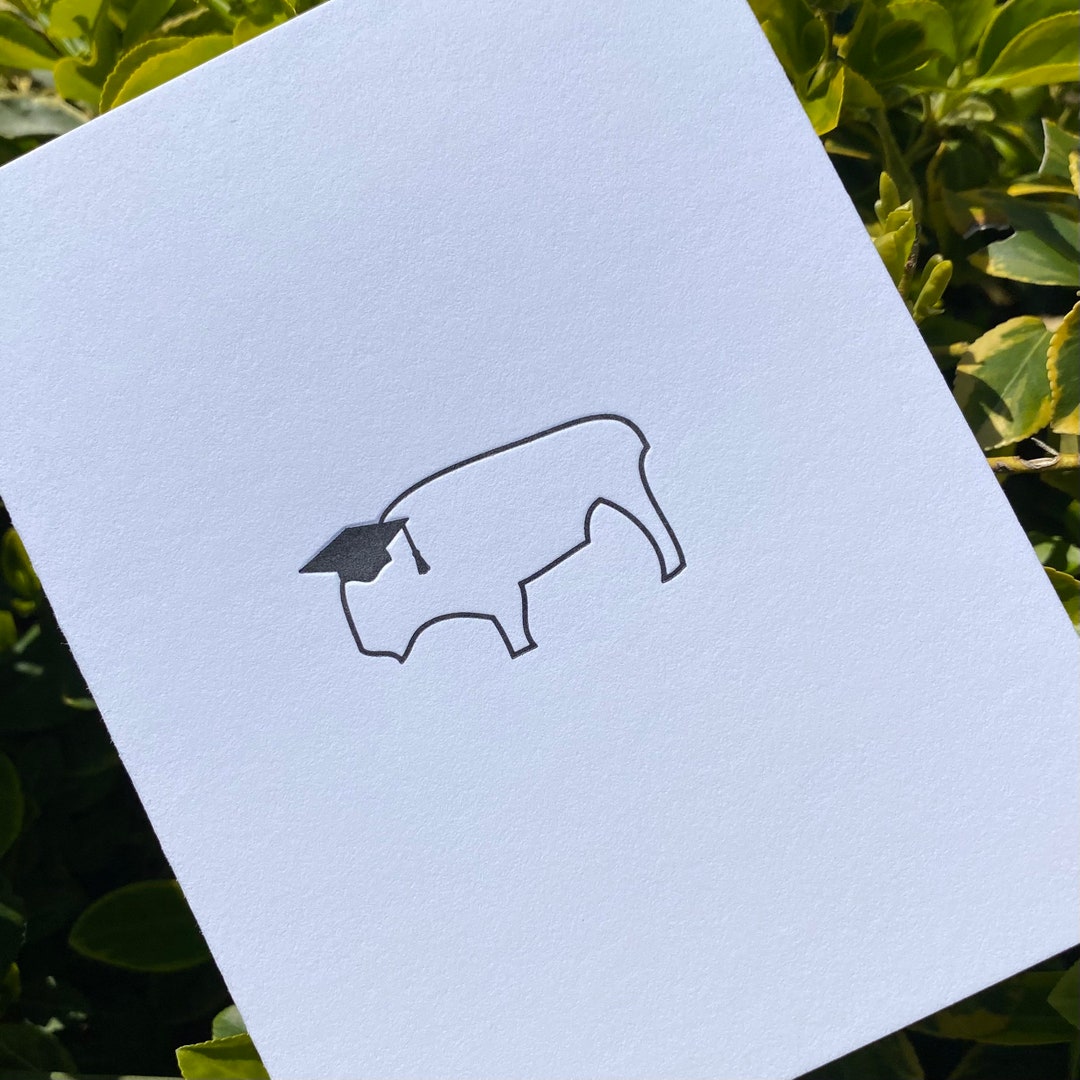 Buffalo Graduation Card, Congrats Grad Card, Class of 2023 - Etsy