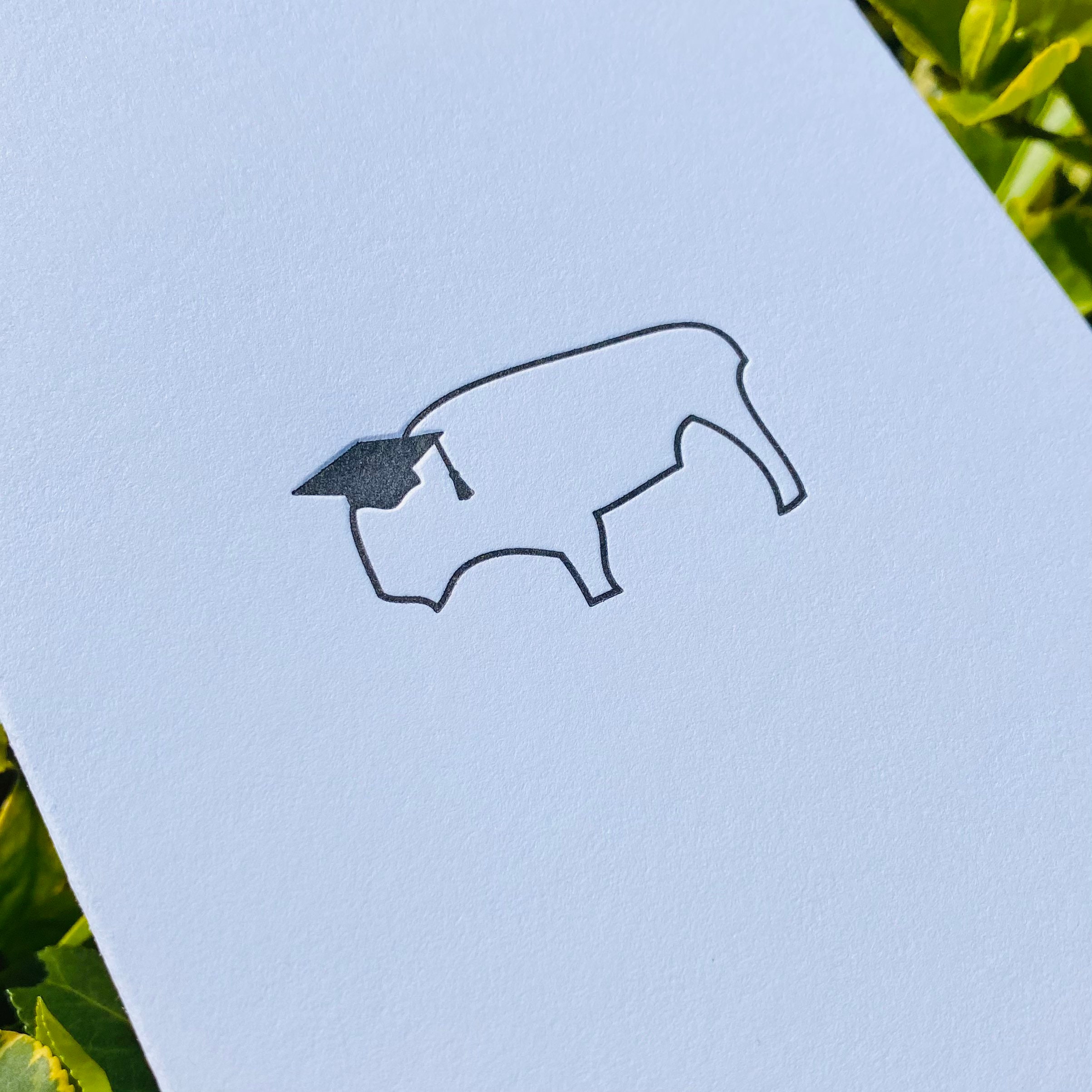 Buffalo Graduation Card, Congrats Grad Card, Class of 2023 - Etsy
