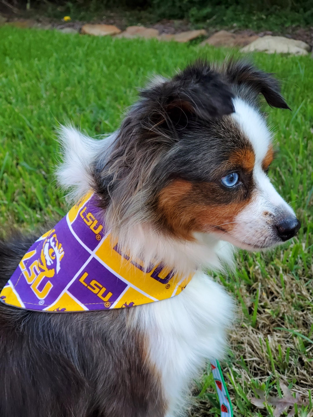 Louisiana State University LSU Dog Bandana Over the Collar - Etsy