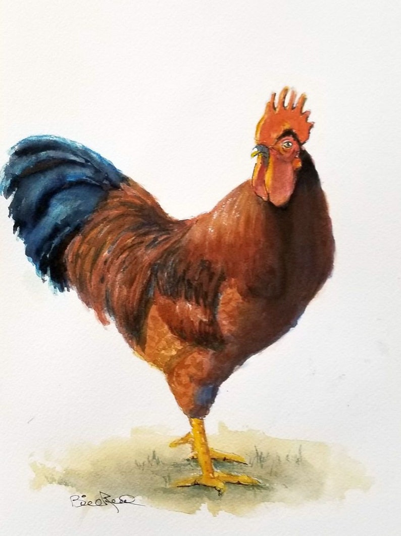 Rhode Island Red Fine Quality Print of My Original Watercolor Painting ...