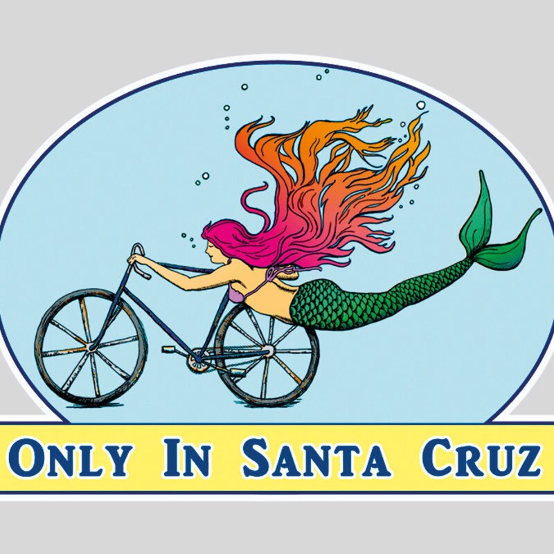 Santa Cruz Stickers - Etsy