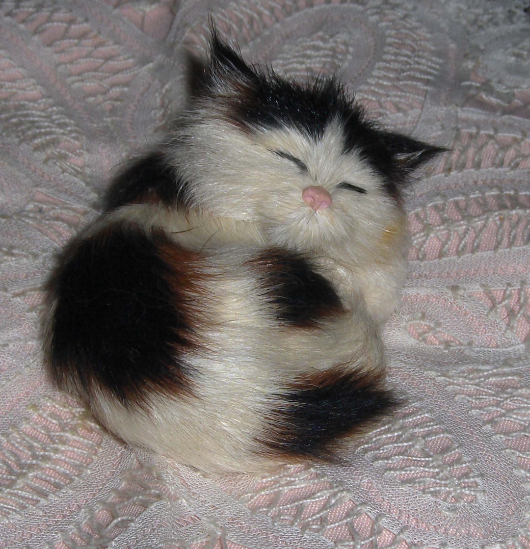 Vintage Sleeping Real Fur Kitty Figurine Soft Fur Cat Napping Kitty ...