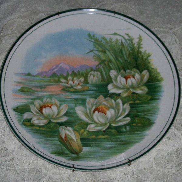 Water Lily Plate - Etsy