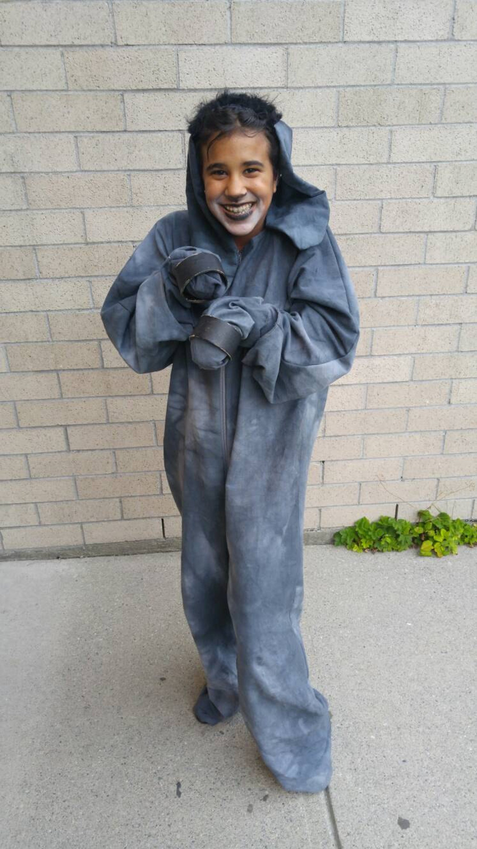 Upcycled Shrek the Musical Donkey Costume, Grey Jumpsuit With Tail ...