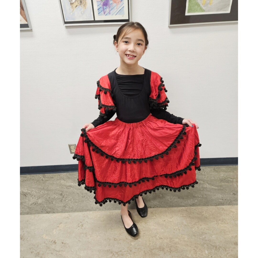 Upcycled Costume, Spanish Dancer, Red and Black 2pce Costume Black ...