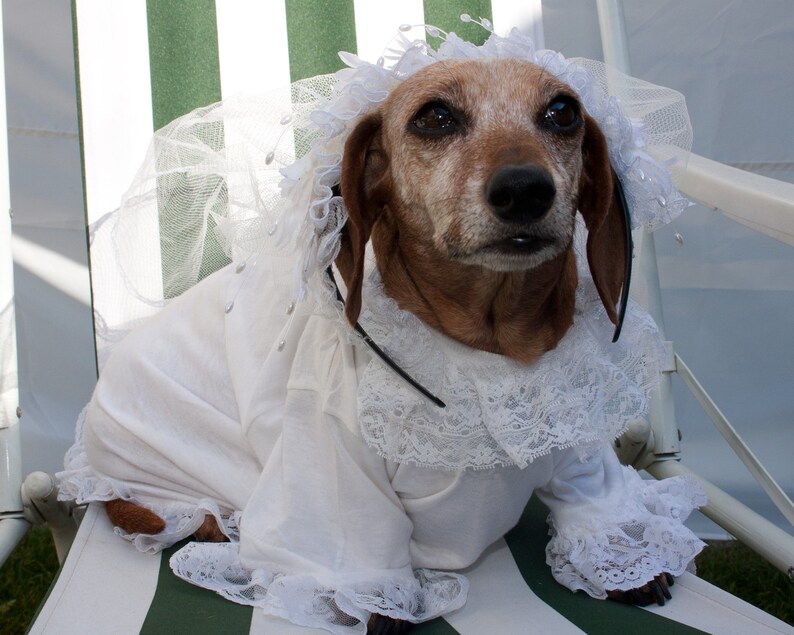 Upcycled Steampunk Dog Clothing Dog Bride Costume White | Etsy