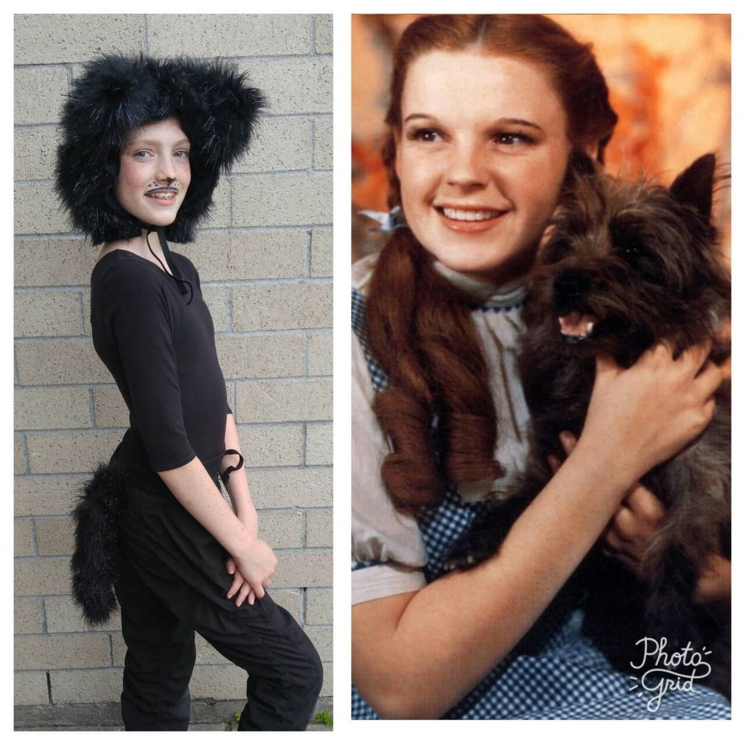 Upcycled Clothing, Wizard of Oz Costume, Toto Costume, Toto Dog Black ...