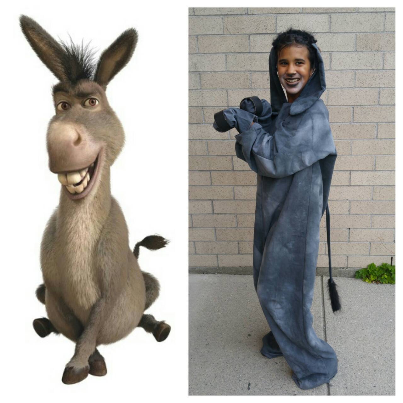 Upcycled Shrek the Musical Donkey Costume, Grey Jumpsuit With Tail ...