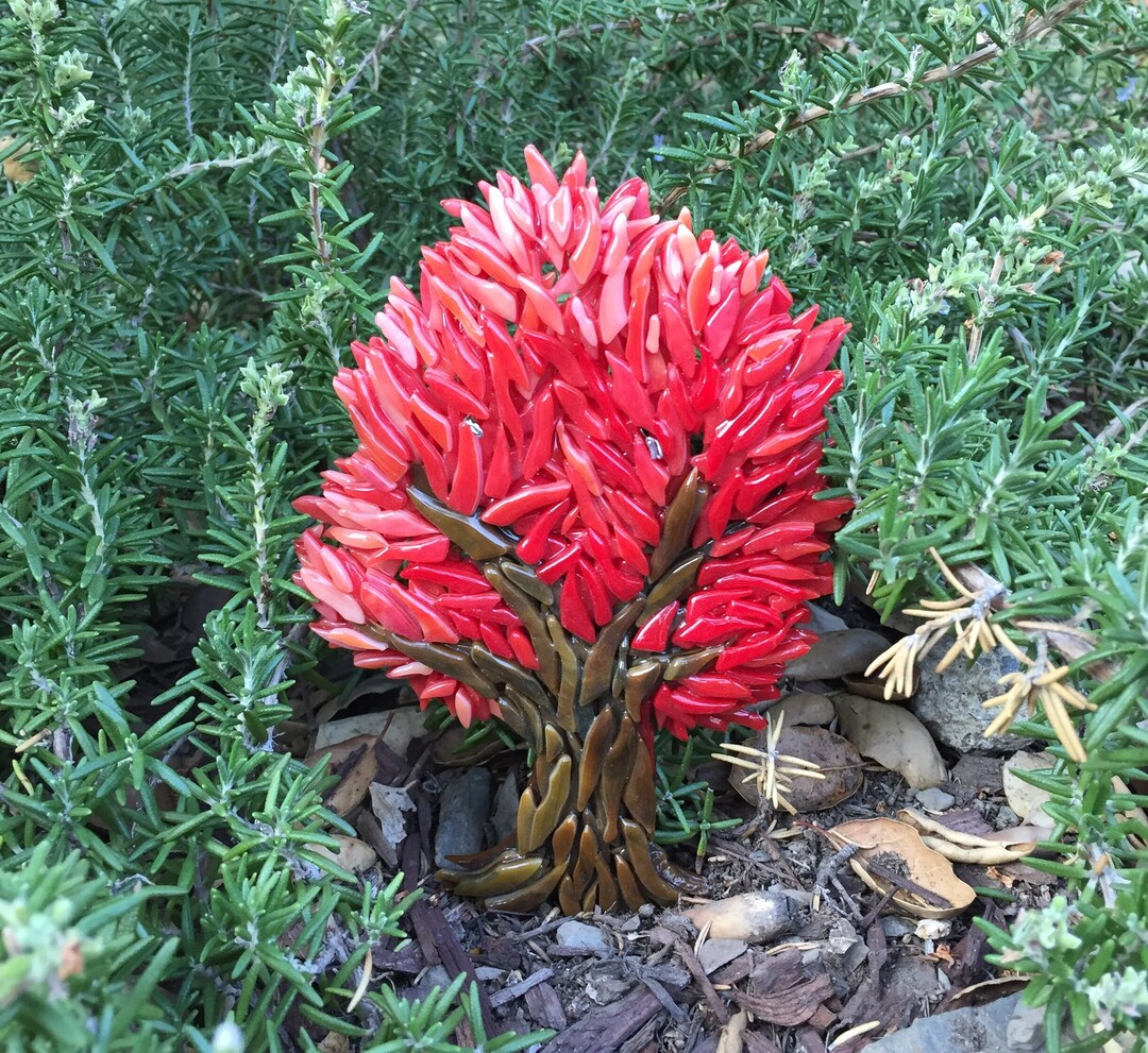 Red Oak Tree, 6.5”x4” Fused Glass Wall Art or Window Hanging - Etsy