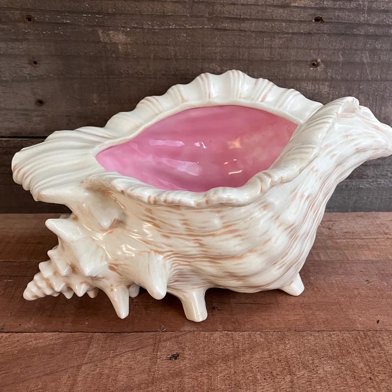 Conch Shell Planter - Etsy