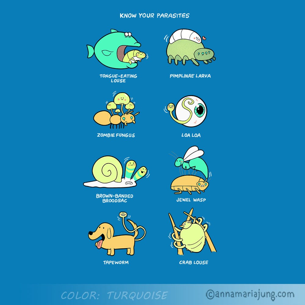 Know Your Parasites Cute Parasites Shirt, T-shirt, Plus Size, Unisex ...