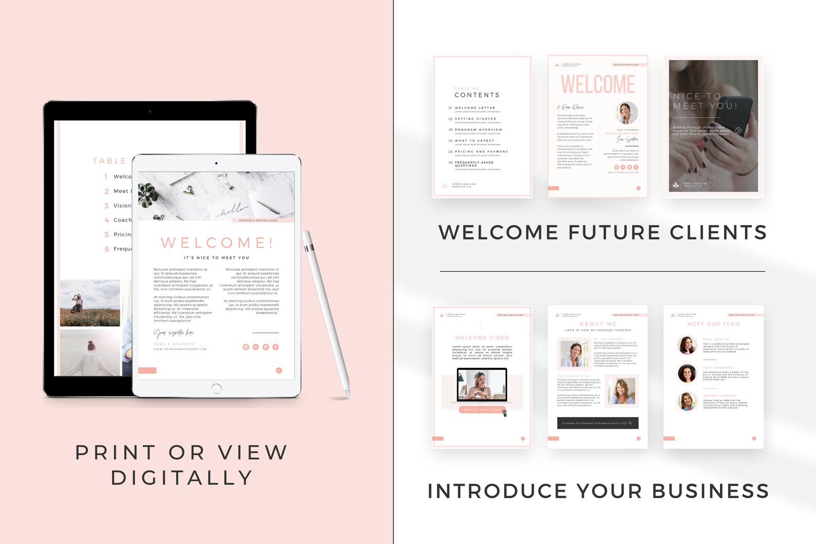 Client Service & Pricing Guide Canva Template for Coaches | Etsy