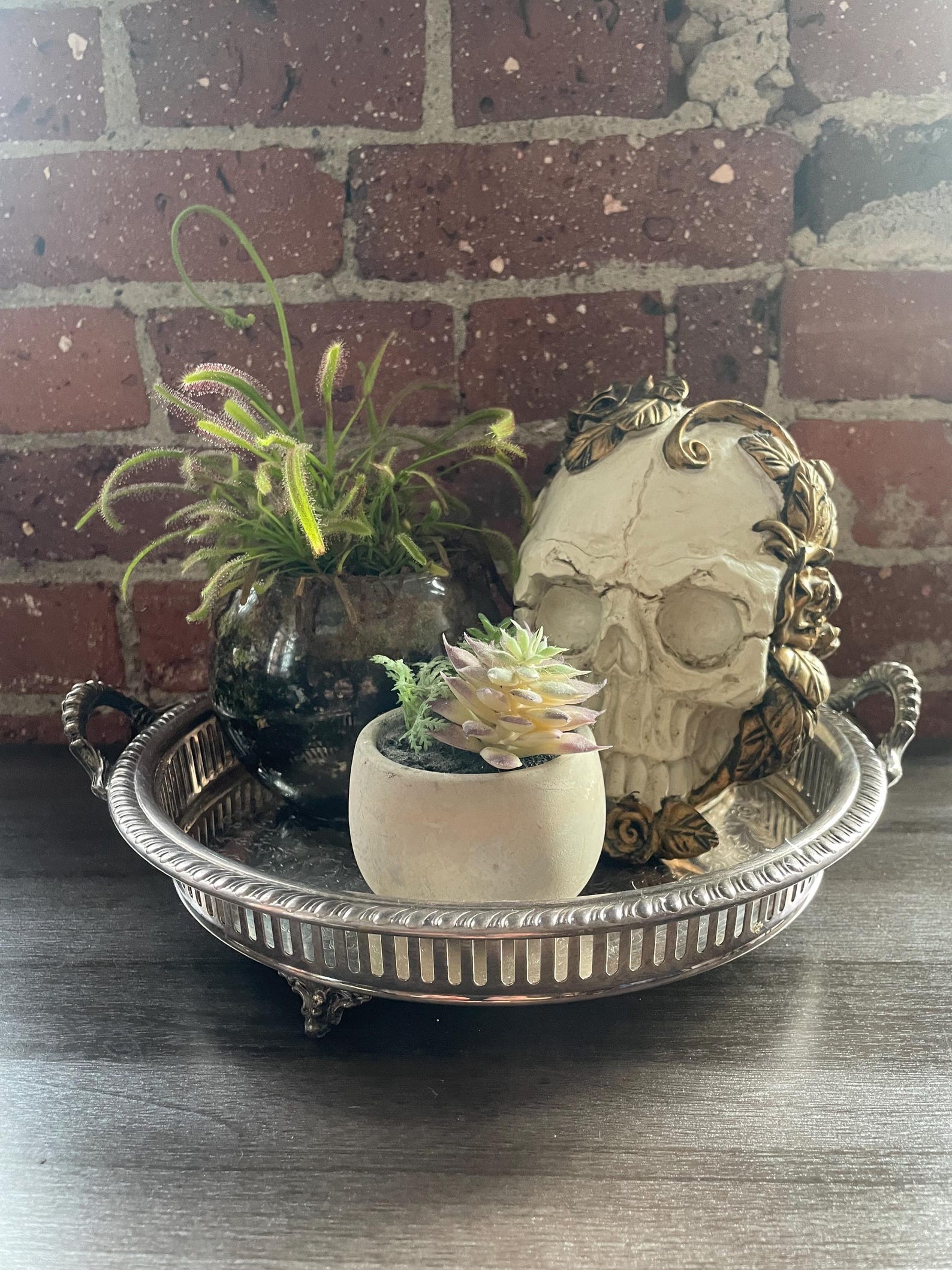 Vintage Round Plant Tray - Etsy