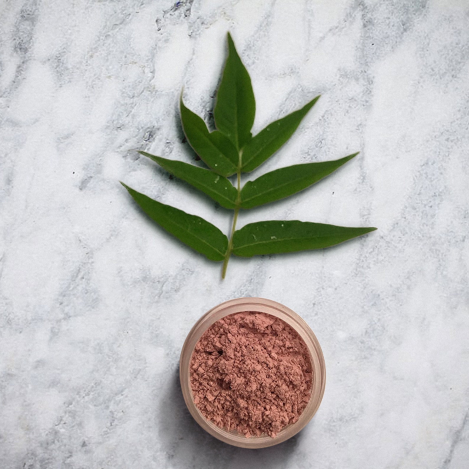 Blush Tea Rose Mineral Powder | Organic Vegan Makeup - Etsy
