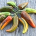 Hot Pepper Seeds, Fish Peppers, Heirloom Pepper Seeds, Great for ...