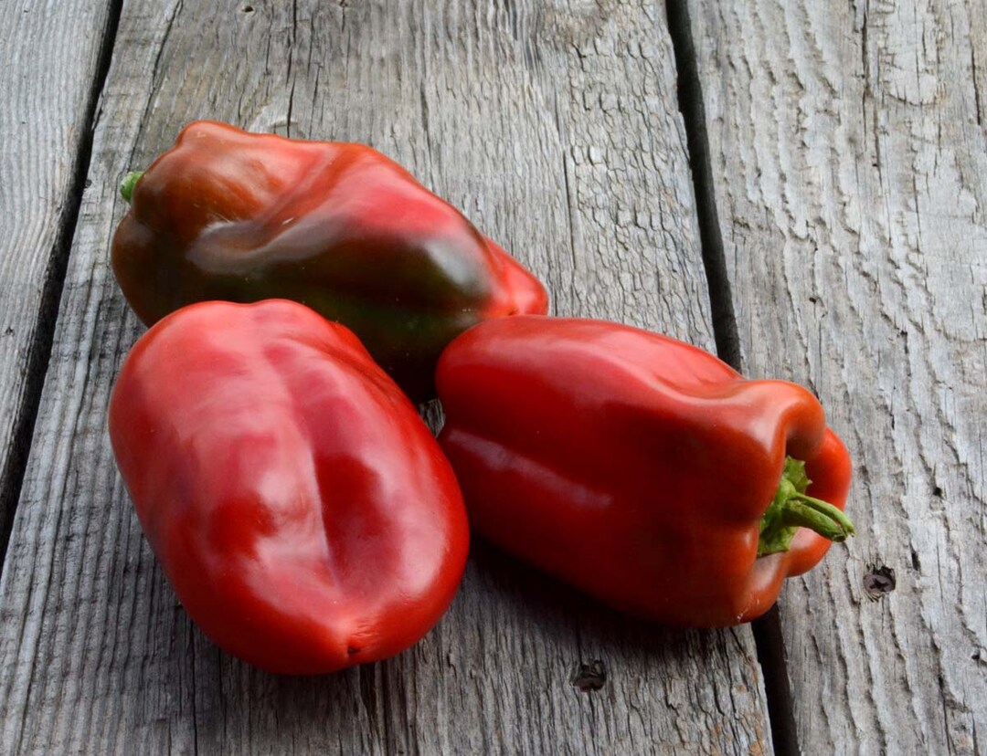 Heirloom Bell Pepper, Red Bell Pepper Seeds, Heirloom Peppers- Great ...