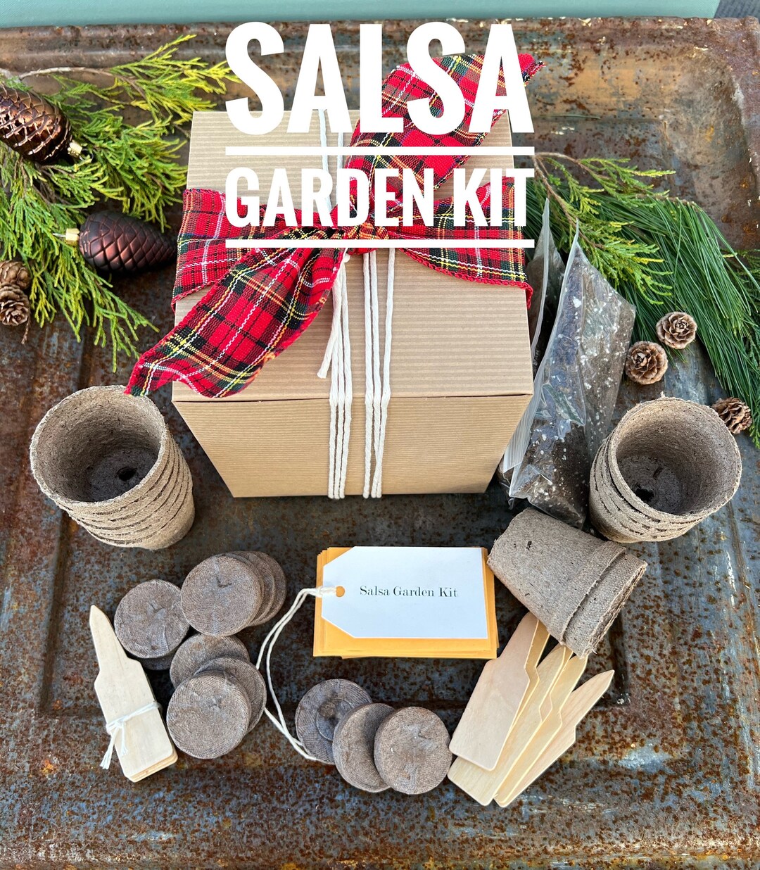 Deluxe Salsa Garden Gift Set, Seeds and Garden Supplies for DIY Salsa ...