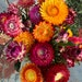 Mixed Strawflower Seeds, 45 Sultane Mix Helichrysum Seed, Cut Flower ...