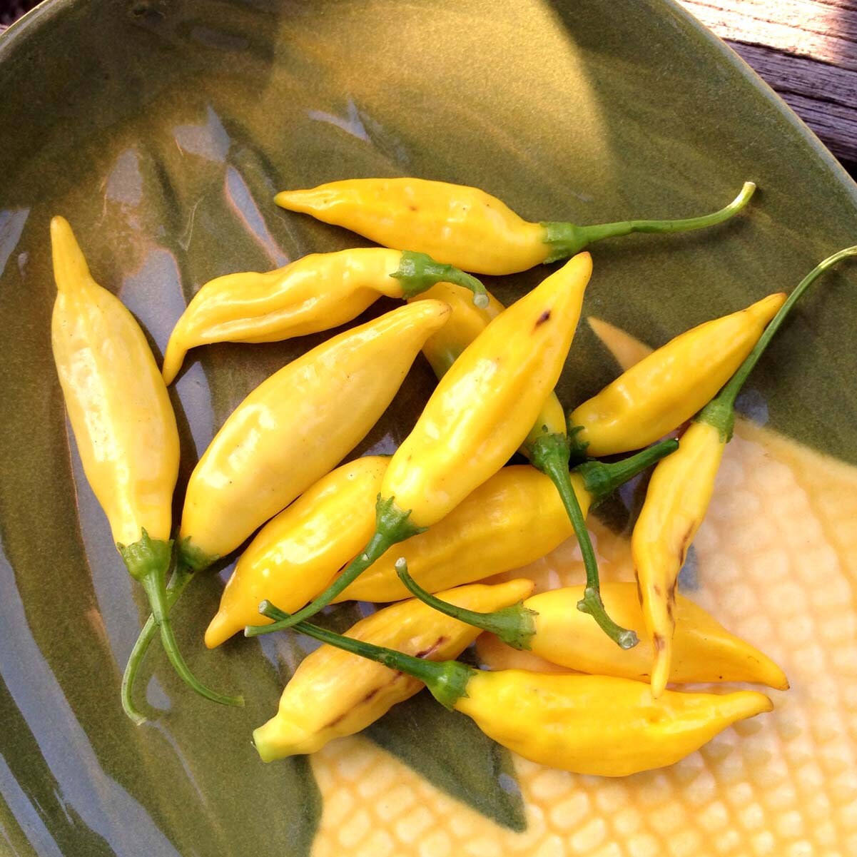 Lemon Drop Pepper Seed Aji Limon Peppers Heirloom Hot Pepper - Etsy