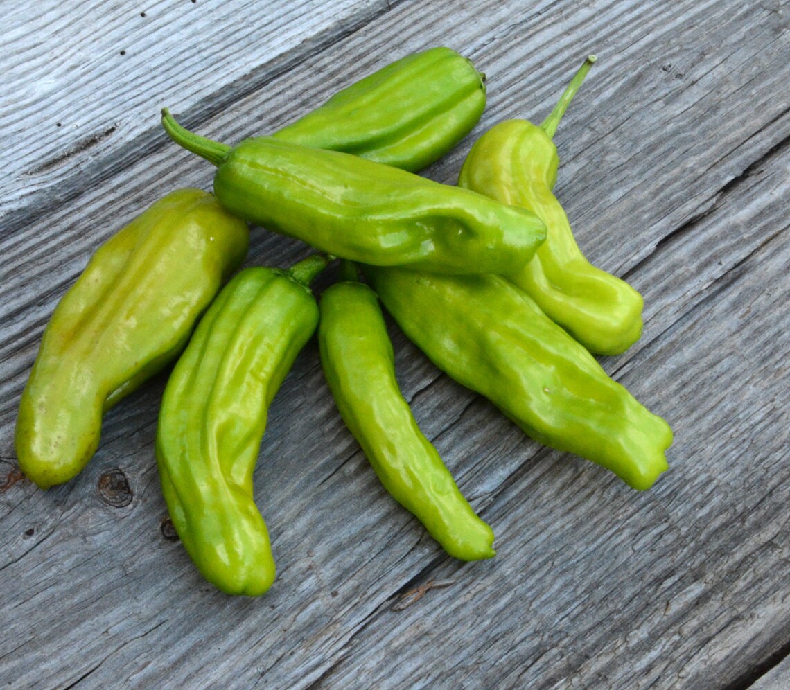 Greek Pepperoncini Peppers, Golden Greek Pepper Seeds - Etsy