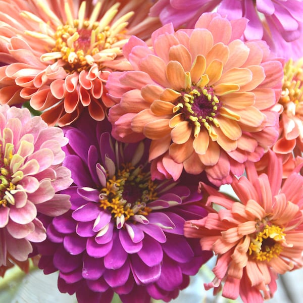 Pastel Shades - Etsy