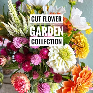 Cut Flower Seed Collection, 10 Seed Varieties for Cut Flowers, Great ...