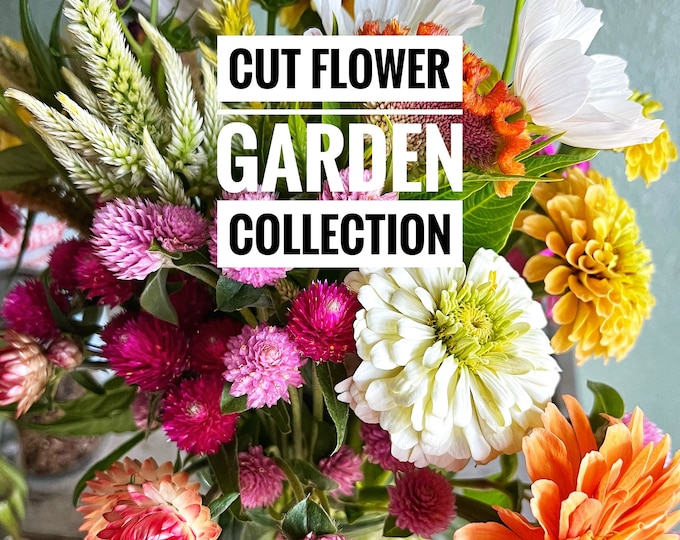 Cut Flower Seed Collection, 10 Seed Varieties for Cut Flowers, Great ...