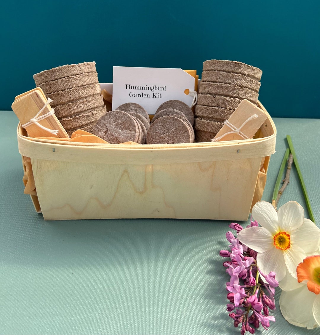 Hummingbird Garden Kit, Easy to Grow Flower Seeds for Hummingbird ...