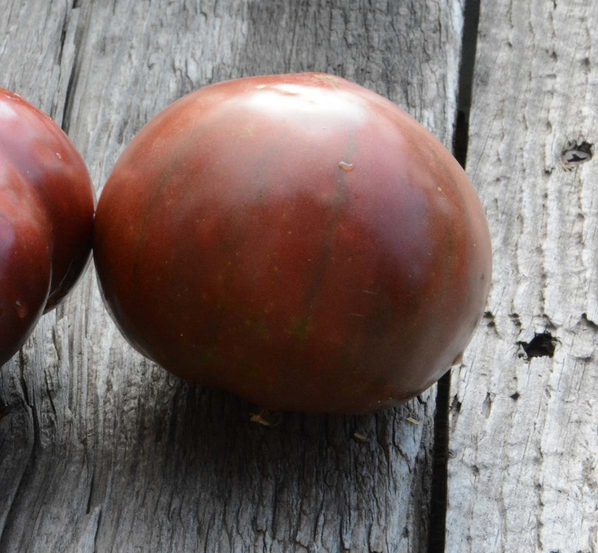 Cherokee Purple Tomato Seeds: Heirloom Variety, Non GMO (20+ Seeds) - Etsy