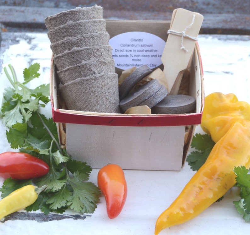 Salsa Garden Kit Easy to Grow Salsa Garden Great Gift for - Etsy