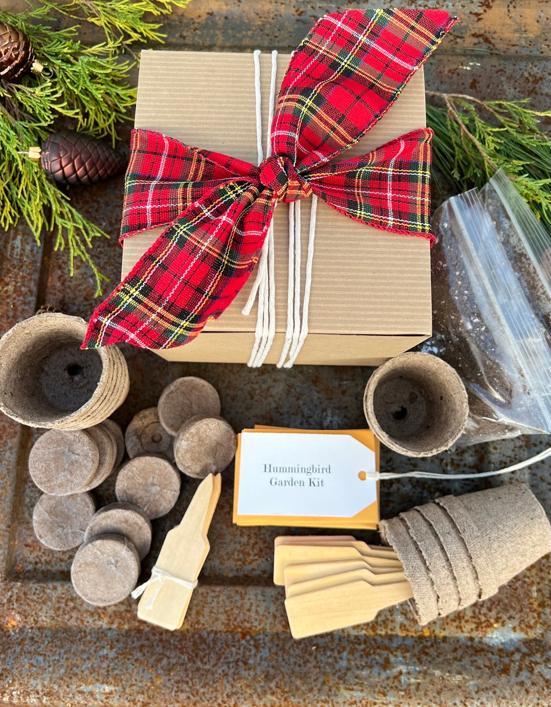 Deluxe Hummingbird Garden Kit, Seeds for 9 Varieties of Hummingbird ...