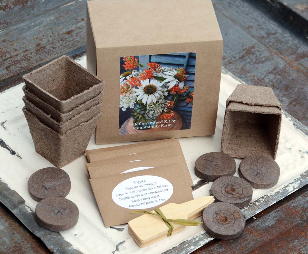 Wildflower Garden Kit, Wildflower Seeds With Garden Supplies and ...