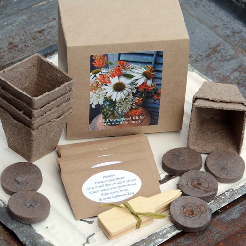 Wildflower Garden Kit Wildflower Seeds With Garden Supplies - Etsy