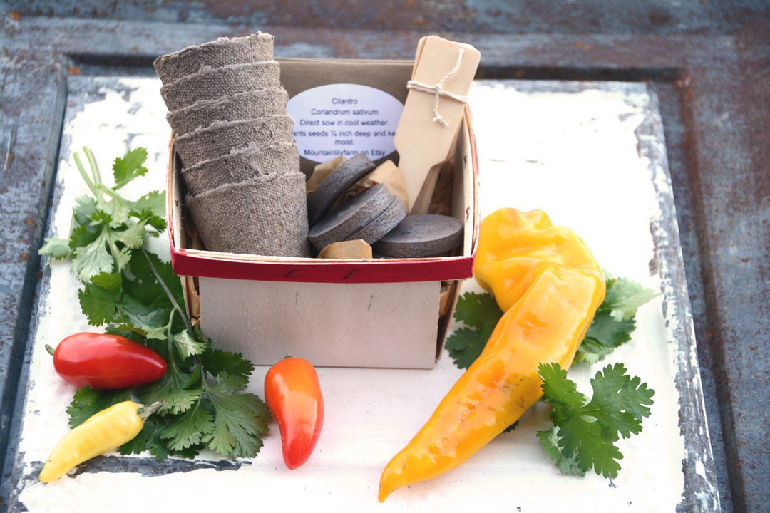 Salsa Garden Kit, Easy to Grow Salsa Garden - Etsy