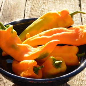Heirloom Pepper Seeds, Sweet Banana Peppers, Golden Treasure Pepper ...