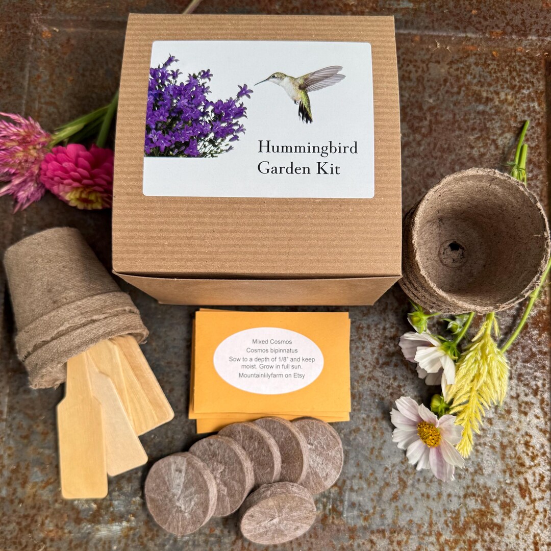 Hummingbird Garden Seed Kit – Gift for Gardeners, Moms, Nature Lovers ...