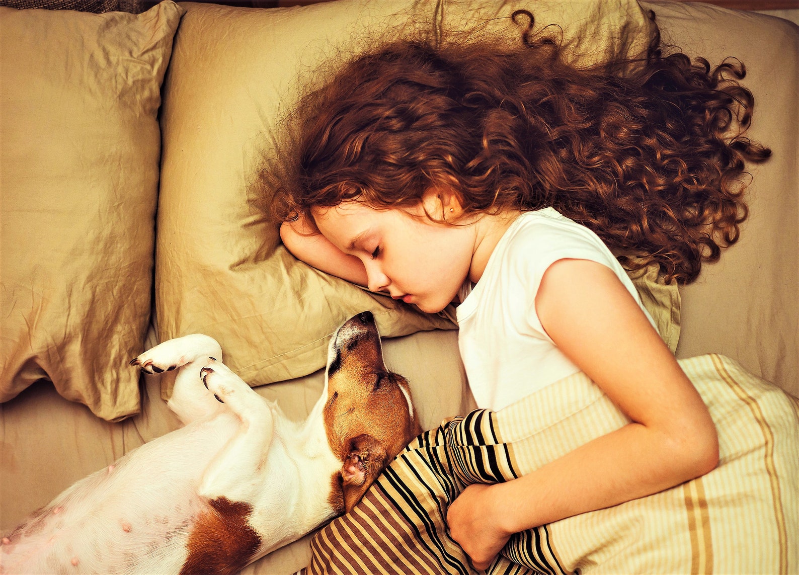 My Pet & Me 2 Grayscale Art Coloring Book - Etsy