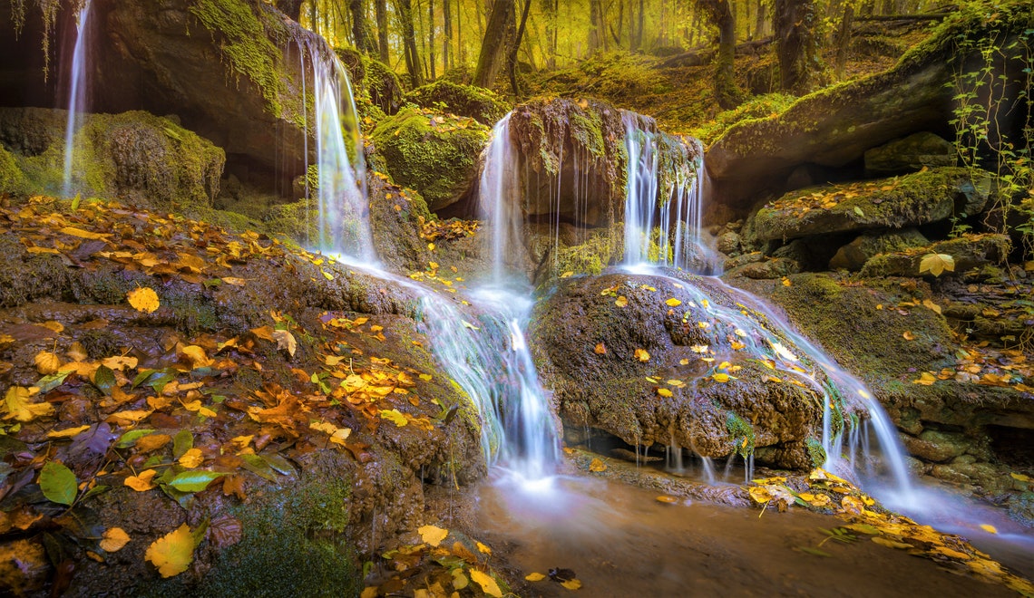 Hello Fall Grayscale Art Coloring Book | Etsy