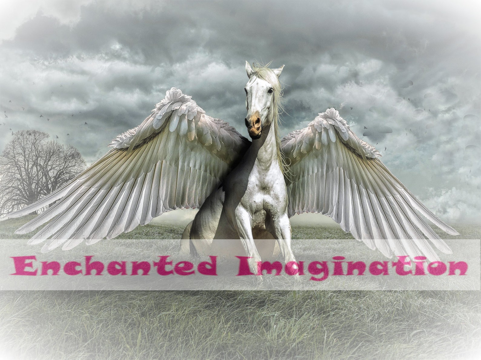 Mystical Pegasus Digital Pictures#1, 5 Digital Images for Framing, Junk ...