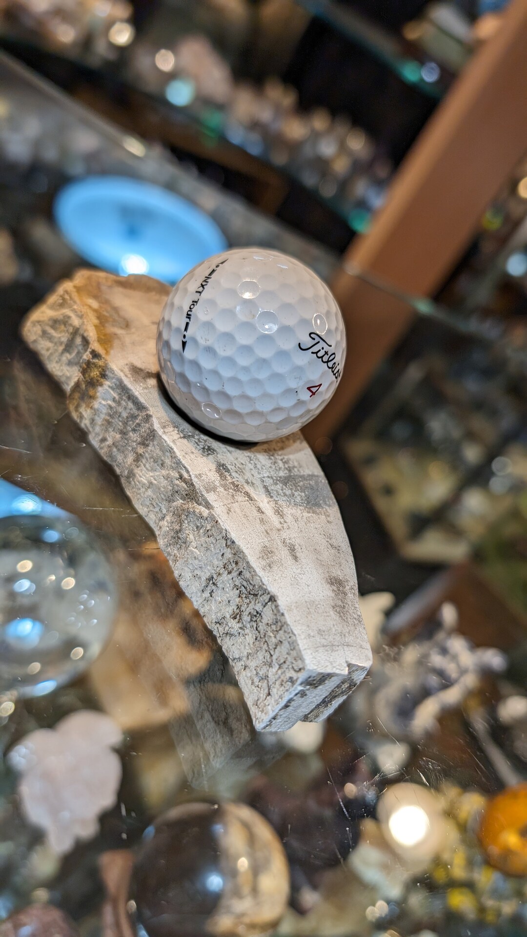 Petrified Wood Slab Sphere Holder Cream Fossilized Stone Crystal ...